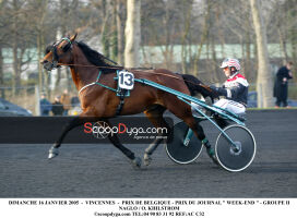 2024 - Naglo (SE) (Greenwoodfarms) / Deckhengstkatalog / Stall - mein ...