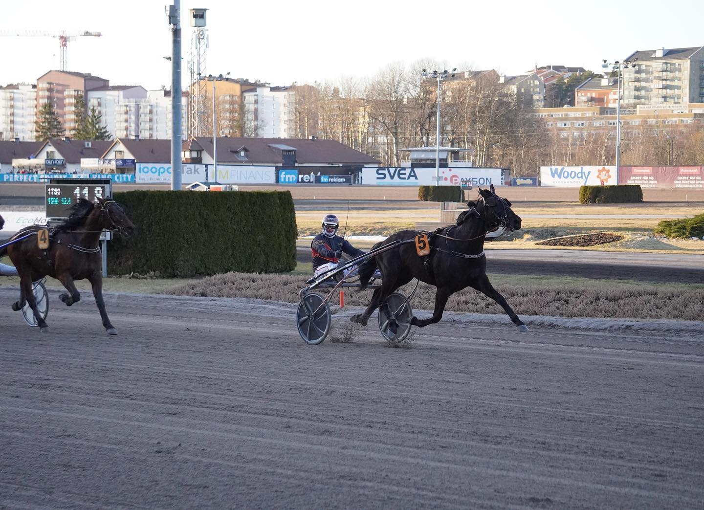 Alle Fragen simpel beantwortet / Trabrennsport aus aller Welt / Info ...