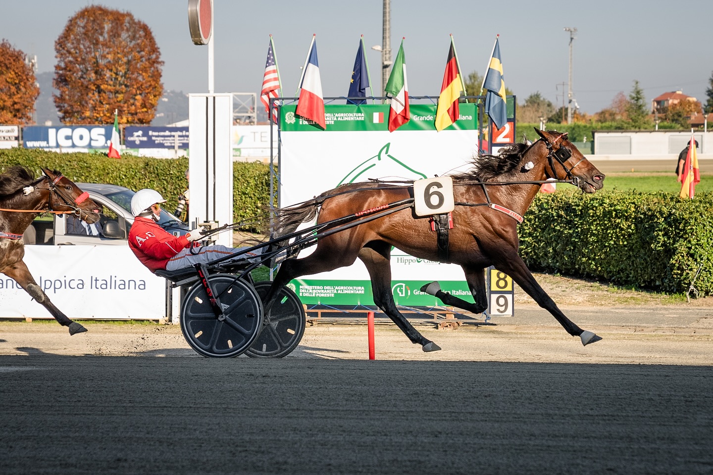 Orsi Mangelli: Gocciadoro total! / Trabrennsport aus aller Welt / Info ...