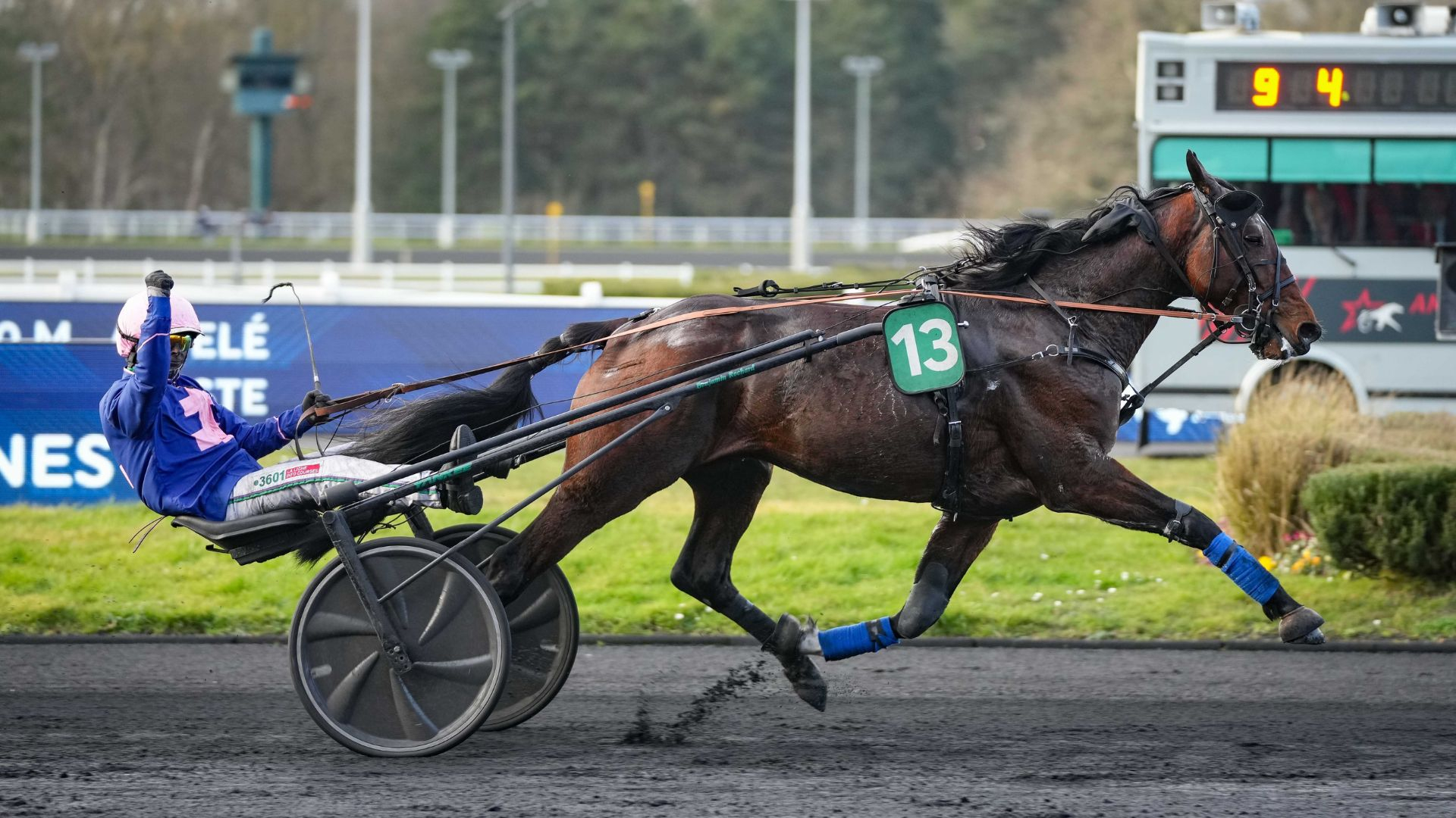 Prix de Paris: „Jean-Mi“ zum Achten / Trabrennsport aus aller Welt / Info / Stall - mein ...