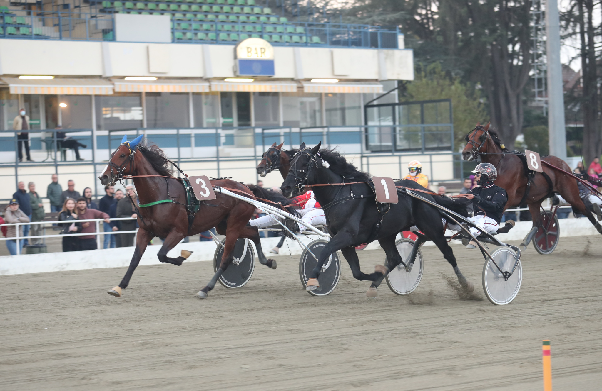 Orsi Mangelli: Nobody mit dem “Big Bang” / Trabrennsport aus aller Welt ...