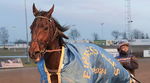 Der Bär steppt zu Gold / Trabrennsport aus aller Welt / Info / Stall ...