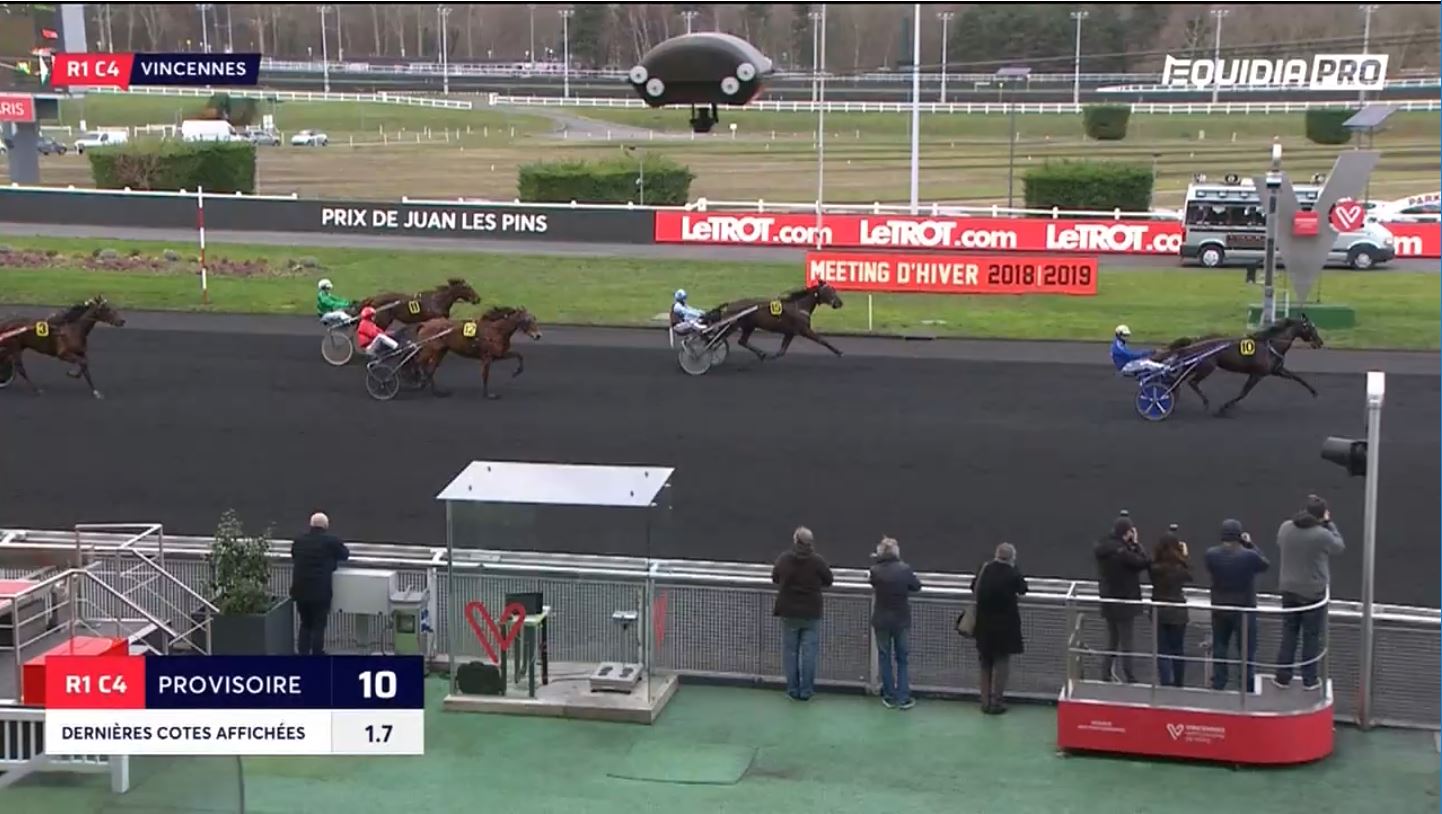 Optimum herausgeholt / Trabrennsport aus aller Welt / Info / Stall ...