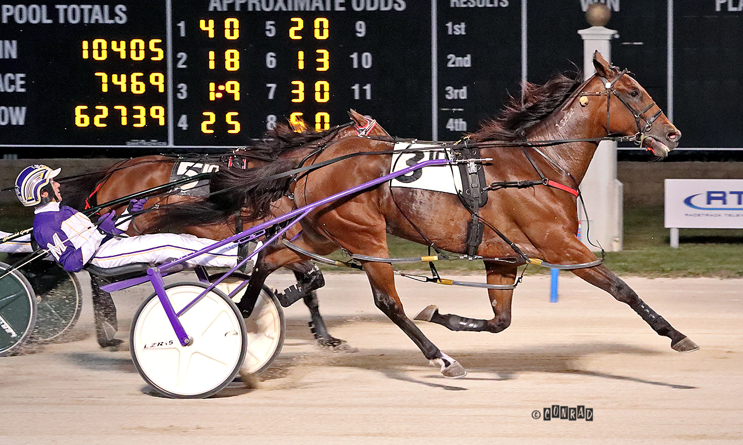 Für Back of the Neck schlägt’s „13“ / Trabrennsport aus aller Welt ...